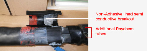 Case 2 - High Voltage Cable Joint Failure On 11kV Trifurcating ...