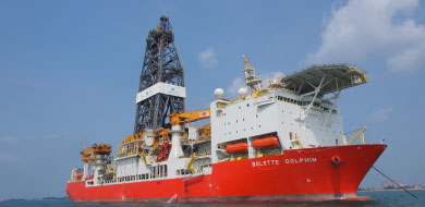 Ellis Patents Flexistrap Stainless Steel Cable Straps - Dolphin Drilling