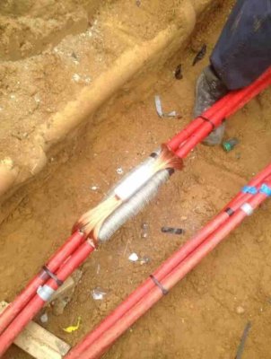 11kV Triplex Cable Joint (UKPN)